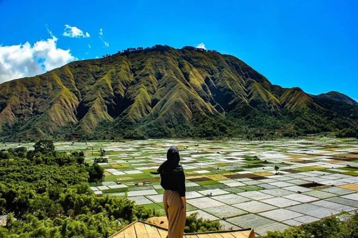 Bukit-Sembalun-Lombok